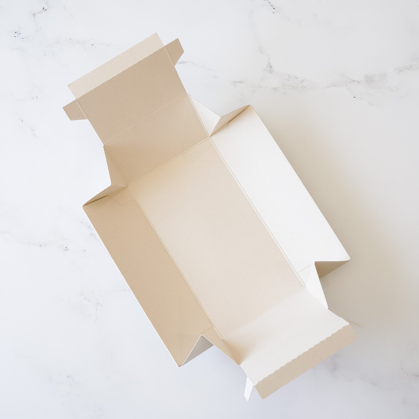 Natural Cookie Box with Clear Lid - Pack of 5 – The Kitsune & Co.